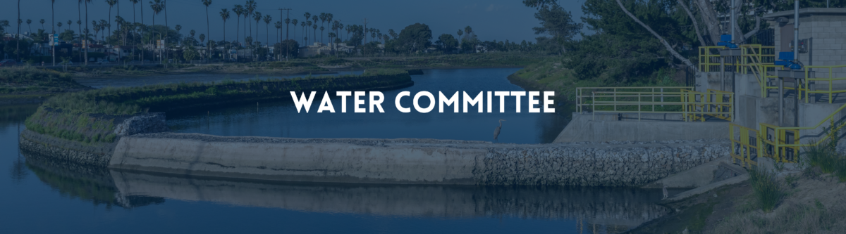Committees - Infrastructure LA